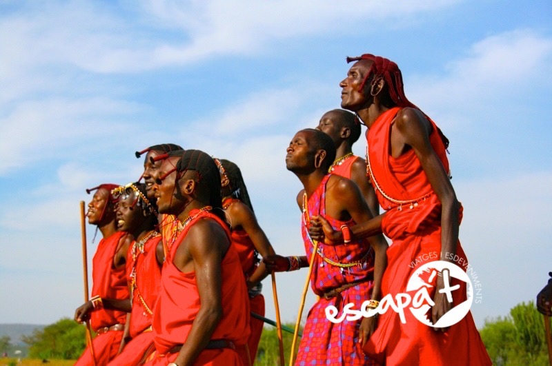 La ruta del Okavango - Escapat
